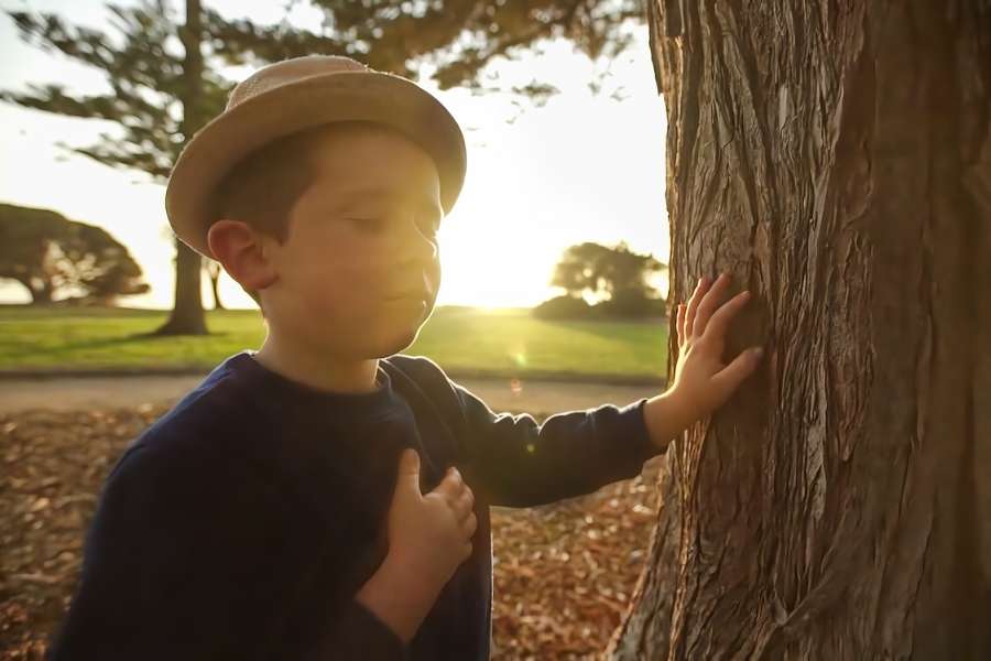 Top 7 Memorial Options In Perth - Western Australia